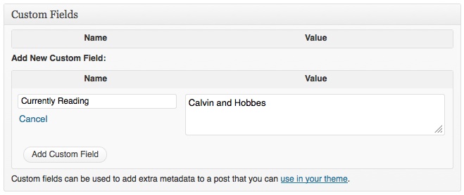 WordPress Custom Fields