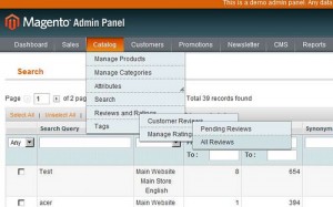 How to Access Magento Admin Panel