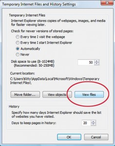 How to view temporary internet files in internet explorer