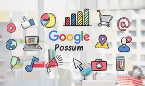 Importance Google’s Possum Local Search Update