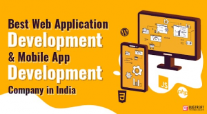How and Where can I find the best Web Application Development and ...