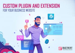 How to apply Custom Plugin and Extension for your business website?